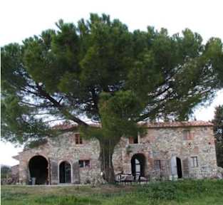 Rifugio delle Poiane, Pisa - 2025 Prices & Reviews