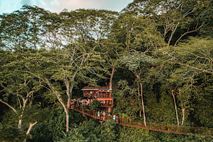 The Treehouse Granada - 2024 料金とレビュー - Hostelworld