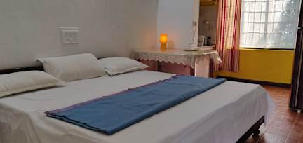 Goapalms Homestay (Palm View) in Goa, India - Book B&B's with ...