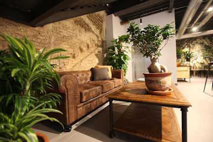 The Botanic Hostel, Zaragoza - 2026 Prices & Reviews