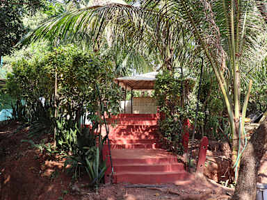 This Is It Jungle Maze, Goa - 2025 - Hostelworld