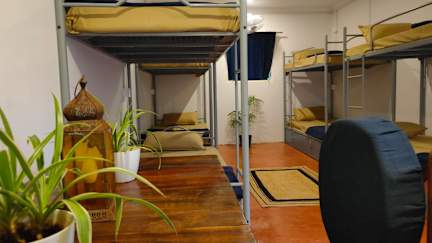 Svabodha Wellness, Pernem, Goa - 2024 - Hostelworld