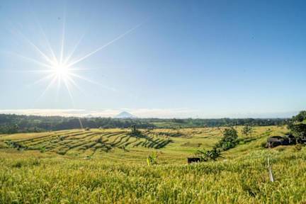 Jatiluwih Guava Eco Living, Tabanan - 2025 Prices & Reviews