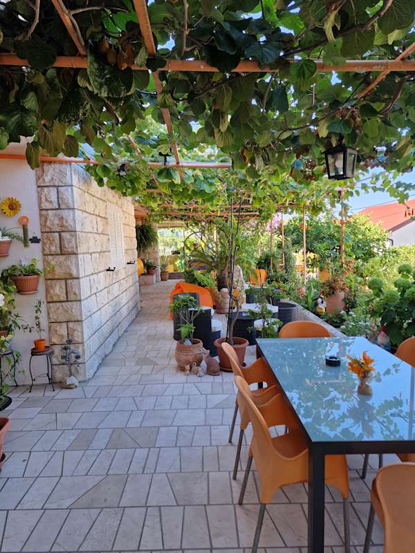 Orange - Brač