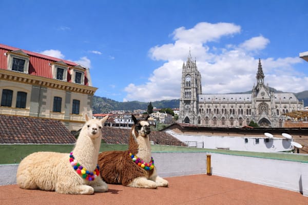 Home Of David's Friends - Quito