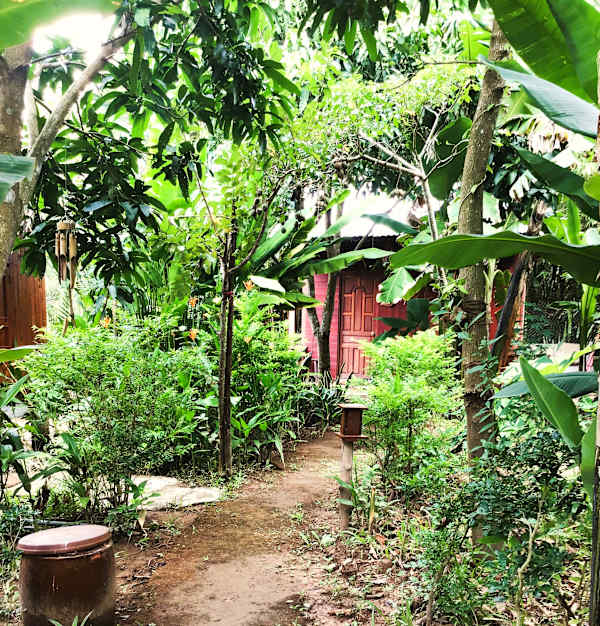 Ben Tre Farm Stay - Ben Tre