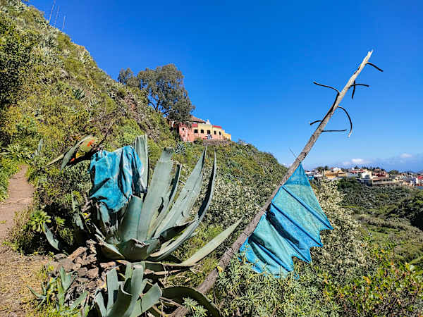 Camino Art House - Canary Islands