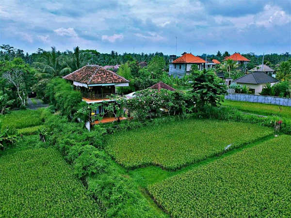 White Villa Hostel - Ubud