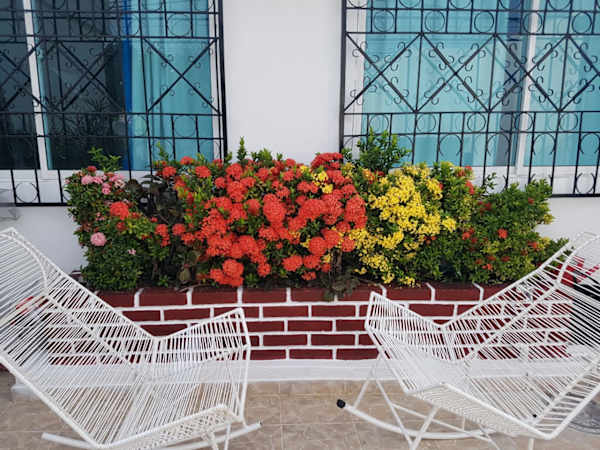 Hostel Caribe Cartagena - Cartagena