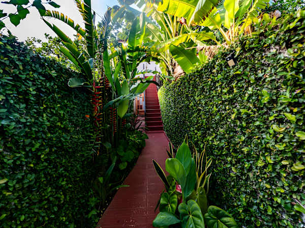 Casa Herenia Y Pedro - Viñales