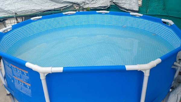 Lealtad407yani - Havana