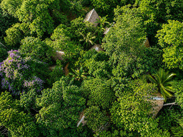 Ecocio Jungle Hostel - Coron