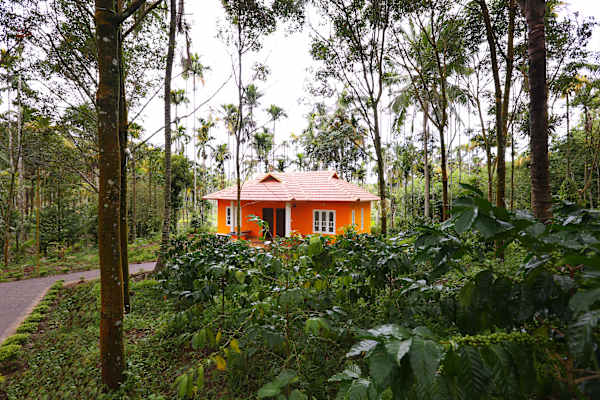 Himadri Retreat Cottages - Wayanad