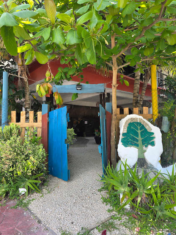 El ÁRbol De La Vida - Bacalar