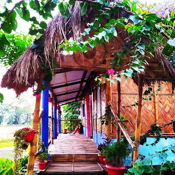 River Wind Cottage - 나가랜드