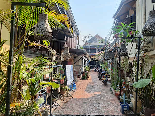 City Backpackers Hostel - Luang Prabang