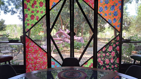 Planta Glamp - Oaxaca