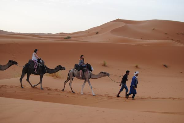 Desert Safari Camp - Marokko