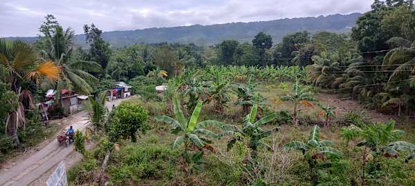 Soul Travellers Dagatan Castle - Moalboal