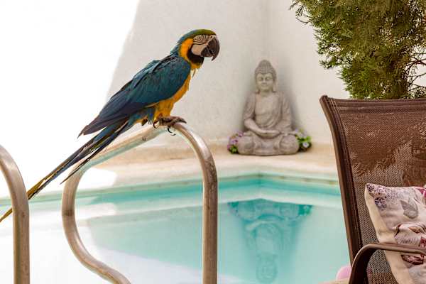 Maria's House - Boutique Hotel - Caribbean