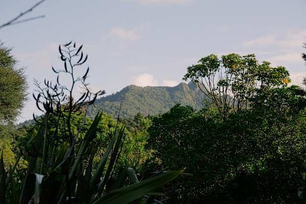 Solscape Eco Retreat - Raglan