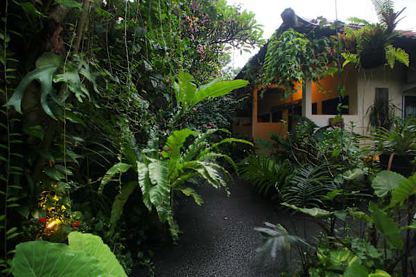 Sari Gong Hostel Ubud - Ubud
