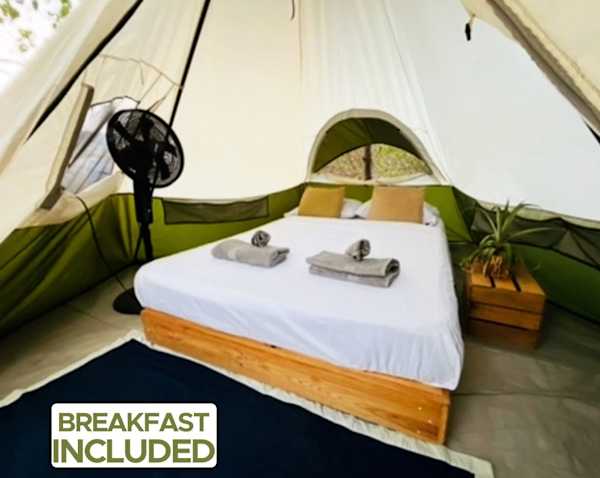 Bajo Las Estrellas - Oaxaca