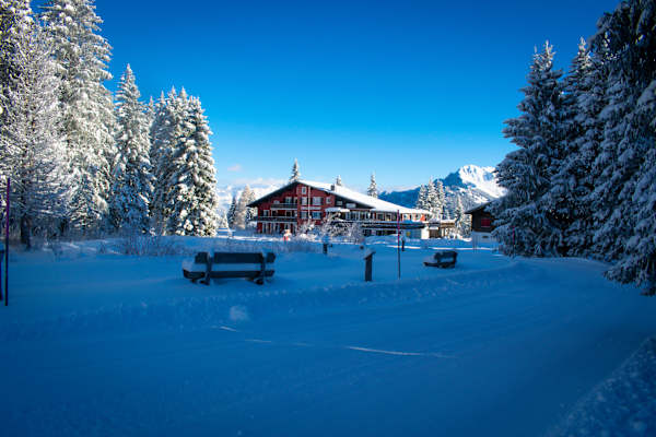 Hotel Malixerhof - Chur
