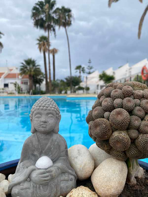 The Best House Tenerife Habitación Compartida - Tenerife