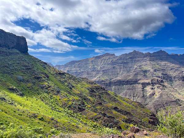 Finca De Mogan - Wolfgang Und Esther Herbart - Canary Islands