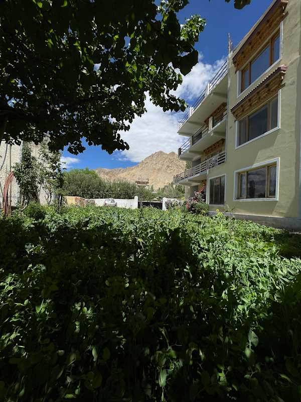 Zlatan Guest House - Leh