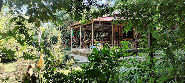 Mirador Jungle El Macuti - Bolivia