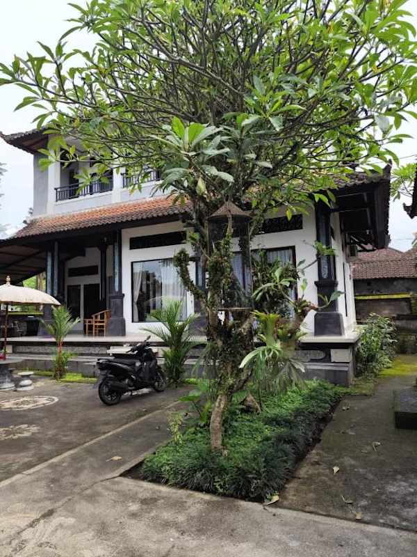 Aesthetic Guest House - Ubud