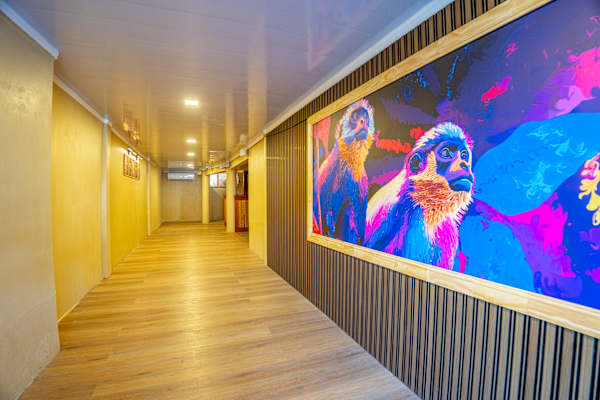 The Social Fortuna - La Fortuna