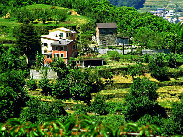 @Gatetothewild - Alps