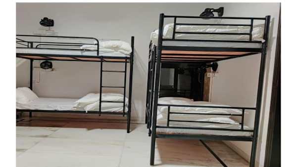 Whiite Panda - New Delhi