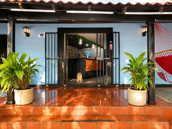 Oasis Hostel Managua - Managua