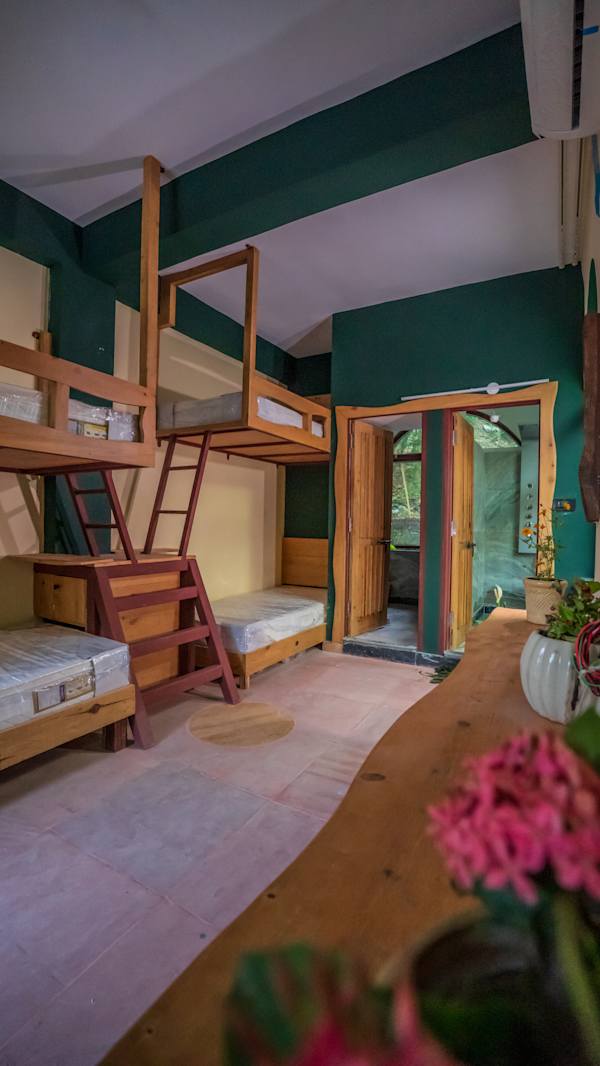 Aavya Wellness - Rishikesh