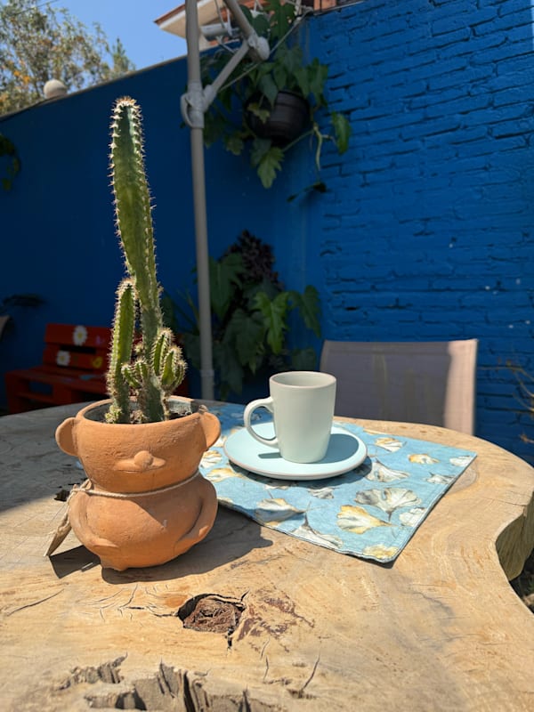 Hostal Casa Nájera - Oaxaca