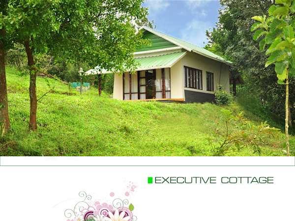 Punarjani Ayurvedic Resorts - Kerala