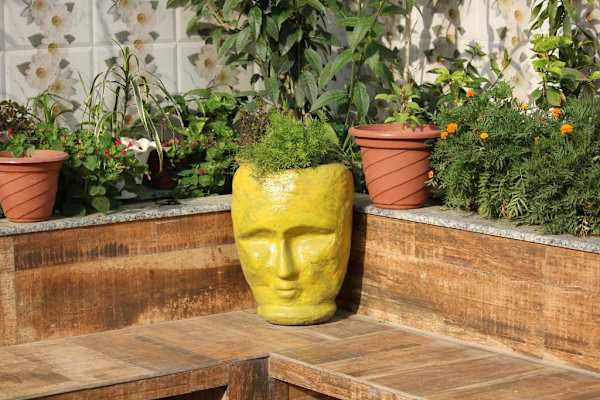 The Hideout Agra Homestay - Agra