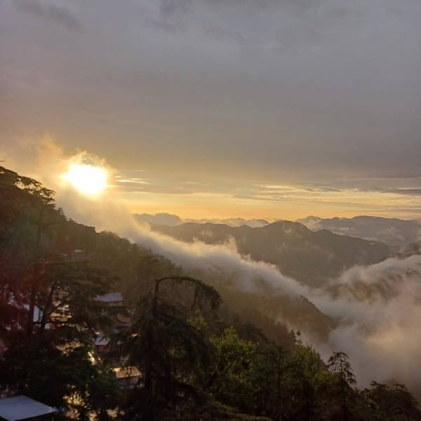 Hotel Harbans - Shimla