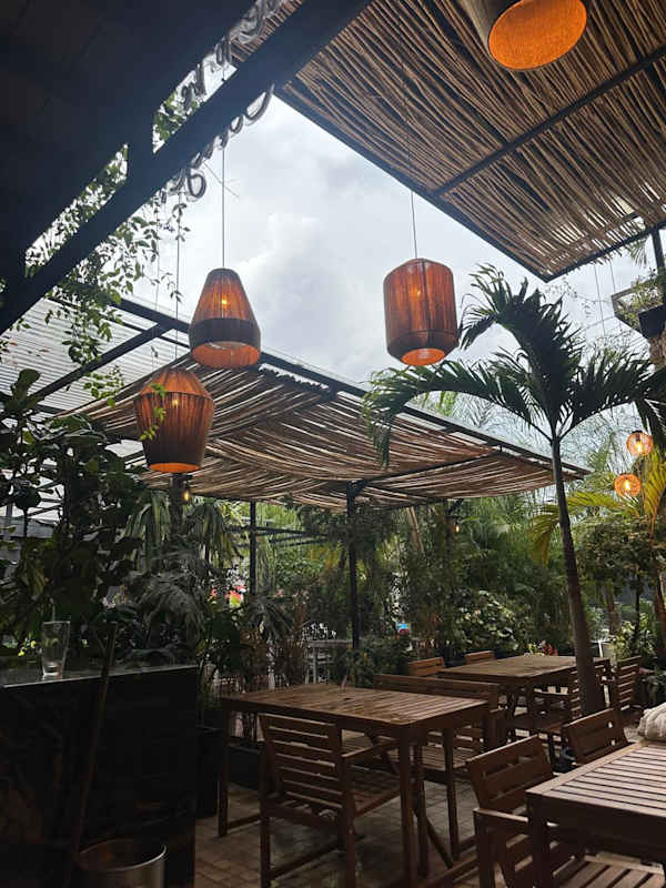 La Selva Hostel - Mexico City