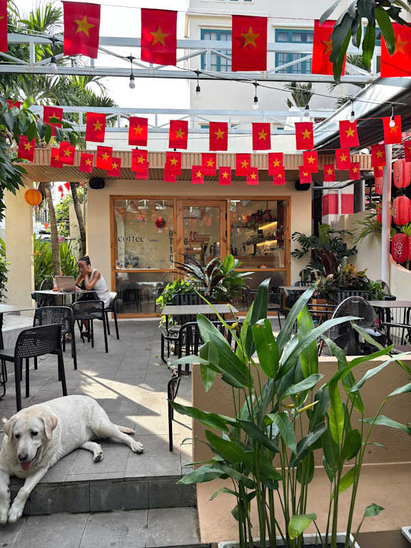 Red House Homestay - Villa - Hội An