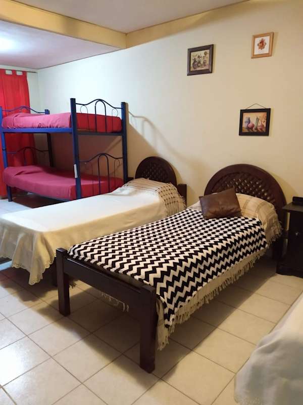 Gran Lapacho Tucuman - Tucumán