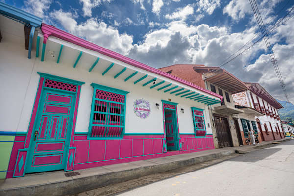 Casa Hotel Las Hortensias - Jardín