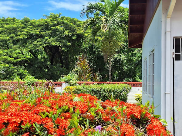 Villa Maat - Caribbean