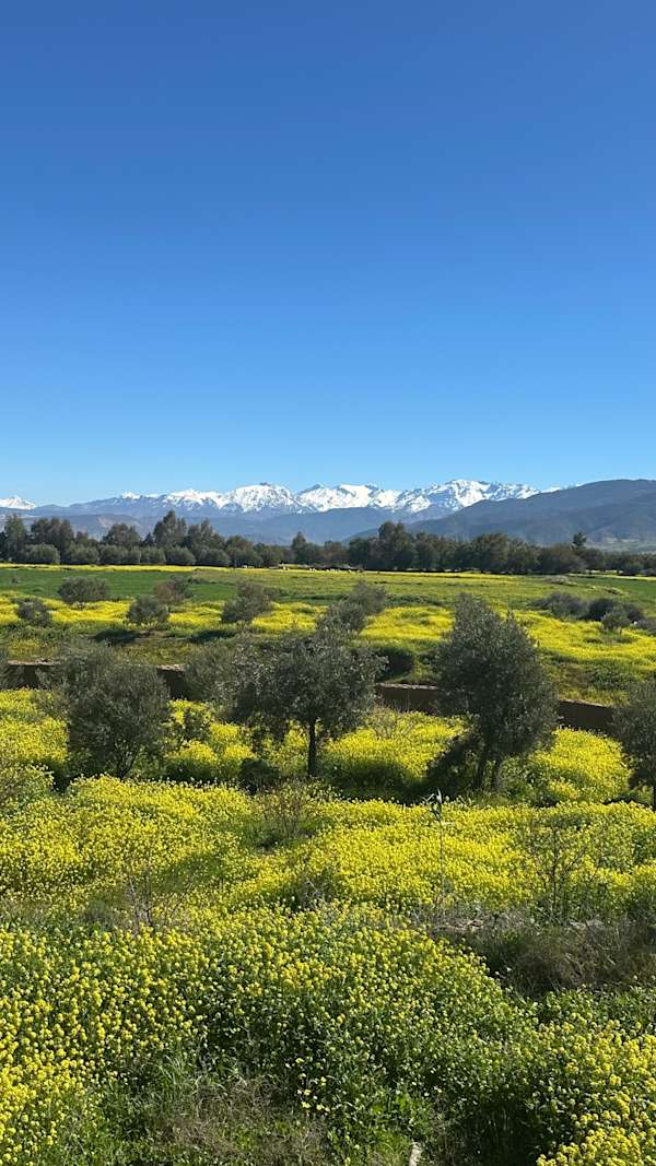 Mountain Riad Near Marrakesh - Maroc