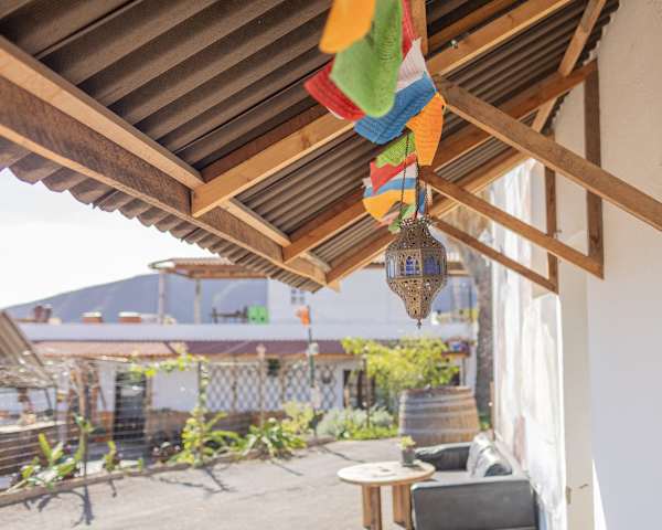 Nomad Birds - Tenerife