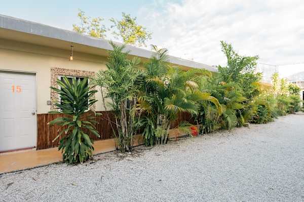 El Gran Shalom - Bacalar